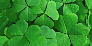 How To Write an Irish Accent (12 Best Tips With Examples) | Writing ...