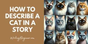 How To Describe A Cat In A Story (100+ Examples & Guide) - Writing Beginner