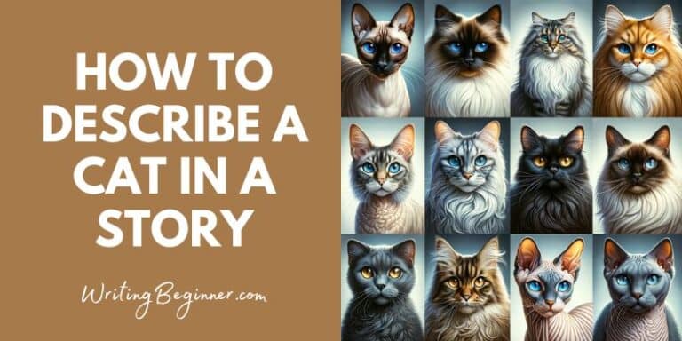 How To Describe A Cat In A Story (100+ Examples & Guide) - Writing Beginner