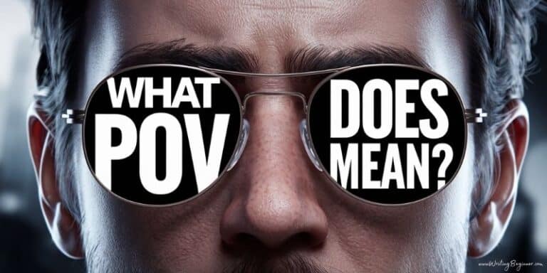 What Does POV Mean? (Epic Slang Guide + 100 Examples) | Writing Beginner